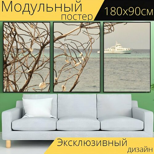 Модульный постер "Морская ракушка, дерево, природа" 180 x 90 см. для интерьера