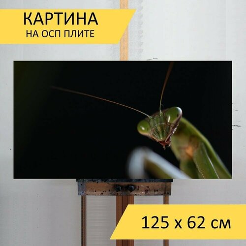 Картина на ОСП 125х62 см. "Богомол, насекомое, лето" горизонтальная, для интерьера, с креплениями