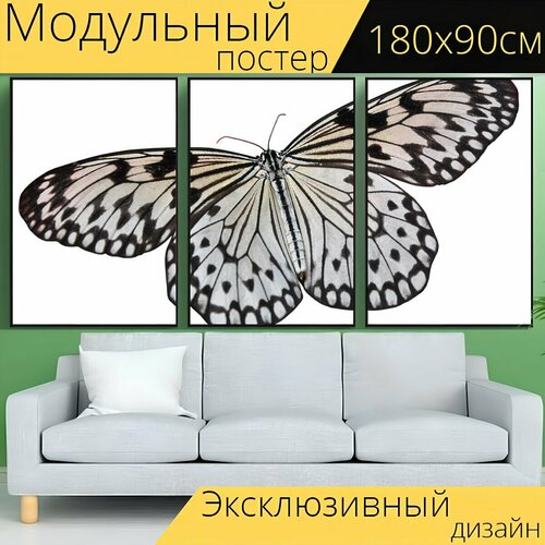 Модульный постер "Бабочка, насекомое, крыло" 180 x 90 см. для интерьера