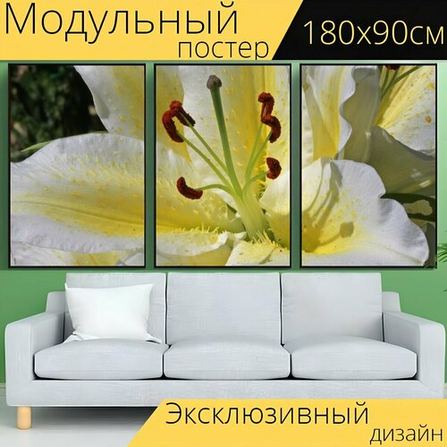 Модульный постер "Лилии, белый, весна" 180 x 90 см. для интерьера