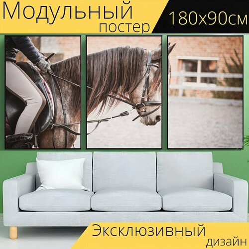 Модульный постер "Лошадь, пони, уроки верховой езды" 180 x 90 см. для интерьера