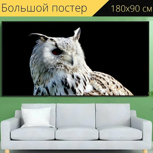 Большой постер "Сибирская сова, сова, уху" 180 x 90 см. для интерьера