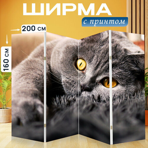 Ширма перегородка с принтом "Кошка, глаза, животное" на холсте - 200x160 см. для зонирования, раскладная