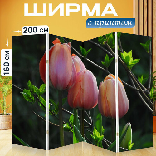 Ширма перегородка с принтом "Тюльпаны, цветок, цветы" на холсте - 200x160 см. для зонирования, раскладная