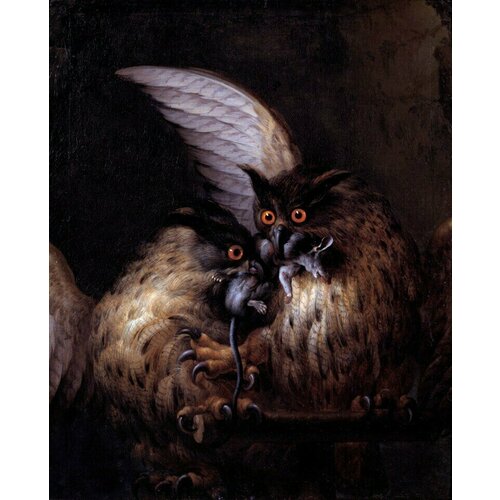 Плакат, постер на холсте Two Owls Fighting over a Rat-Hans Georg/Две совы сражаются за крысу-Ганс Георг. Размер 30 на 42 см