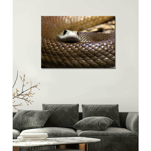 Картина - змея, тайпан, жестокая змея, ядовитая змея, большая змея, кожа змеи (5) 60х80