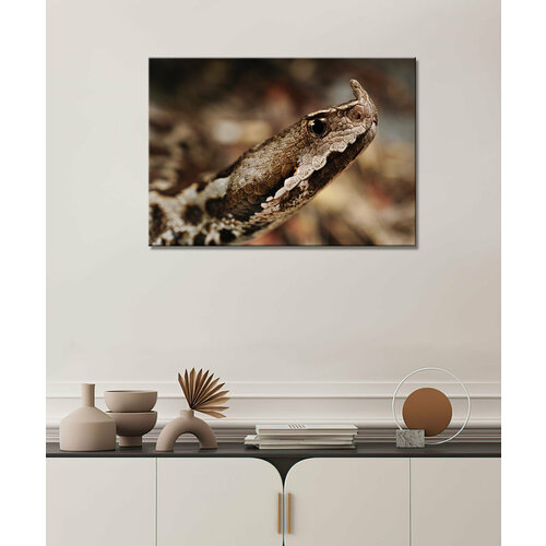 Картина - змея, габонская гадюка, ядовитая змея, большая змея, кожа змеи (2) 60х80