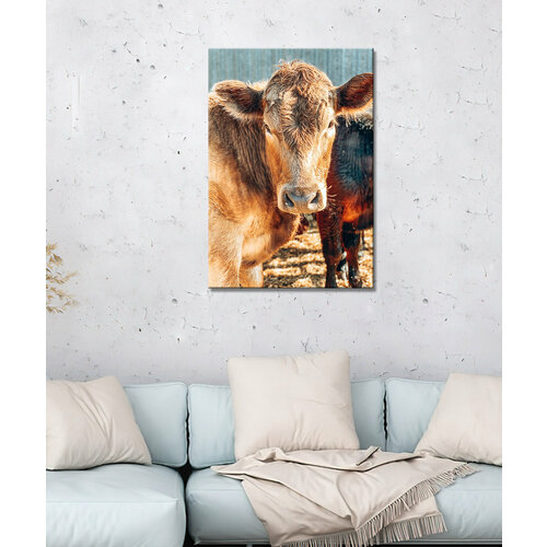 Картина -Корова, коричневая корова, корова на пастбище, бык (9) 50х70