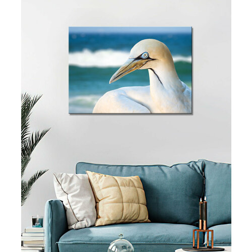 Картина - Олуша, птица олуша, олуша северная птица (7) 50х70