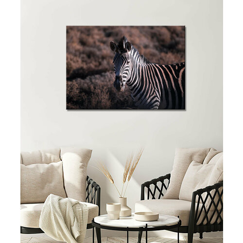 Картина - Зебра, полосатая зебра, красивая зебра, зебра в Африке (1) 60х80