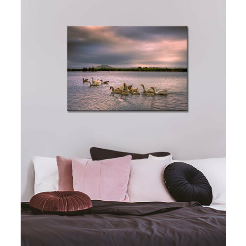 Картина - Гуси, гусь водоплавающая птица, белые гуси в воде (53) 60х80