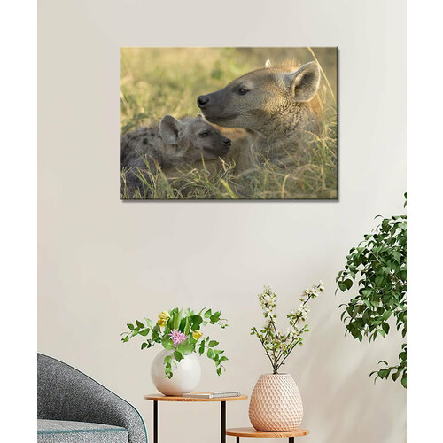 Картина - гиена, гиена в африке, хищная гиена, дикая гиена, гиена в природе (5) 20х30