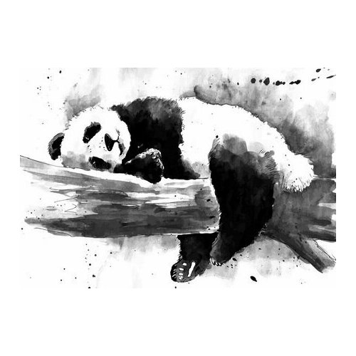 Плакат, постер на бумаге панда акварелью. Размер 60 х 84 см