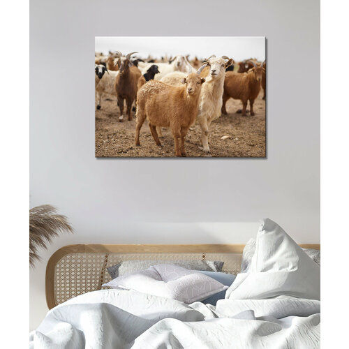 Картина -Коза, козел, коричневый козел, коричневая коза (11) 60х80