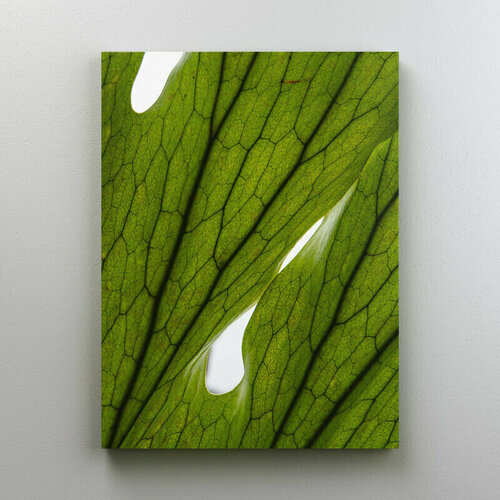 Интерьерная картина на холсте "Текстура листьев", размер 45x60 см