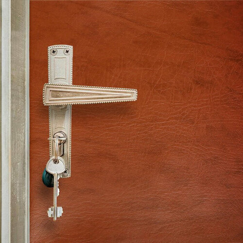 Комплект для утепления дверей ‘Praktische Home’ (ватин 2х1,6м, струна 10м, гвозди меб. 50шт) светло-коричневый
