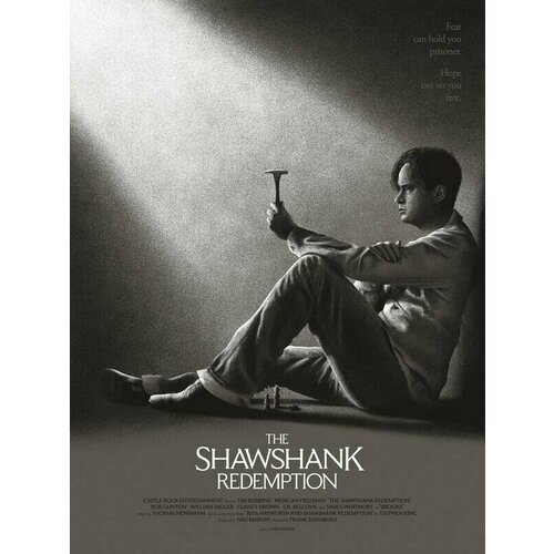 Плакат, постер на холсте Побег из Шоушенка (The Shawshank Redemption), Фрэнк Дарабонт. Размер 30 х 42 см