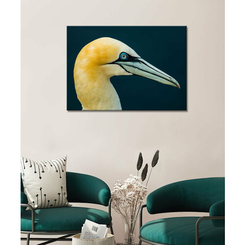Картина - Олуша, птица олуша, олуша северная птица (16) 20х30