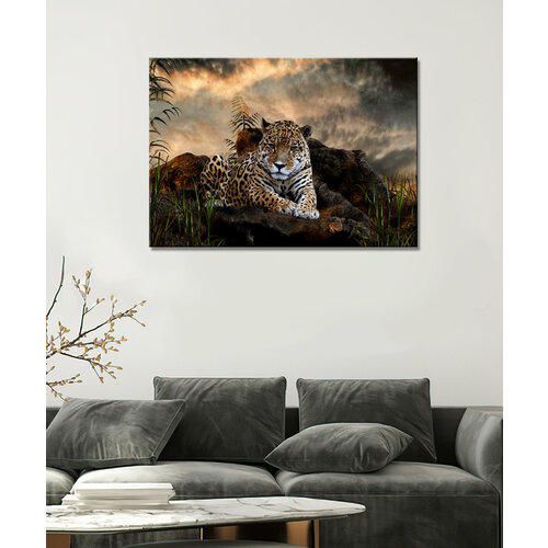 Картина/Ягур/Ягуар в джунглях/Ягуар на дереве/Черный ягуар/ - Ягуар (13) 20х30