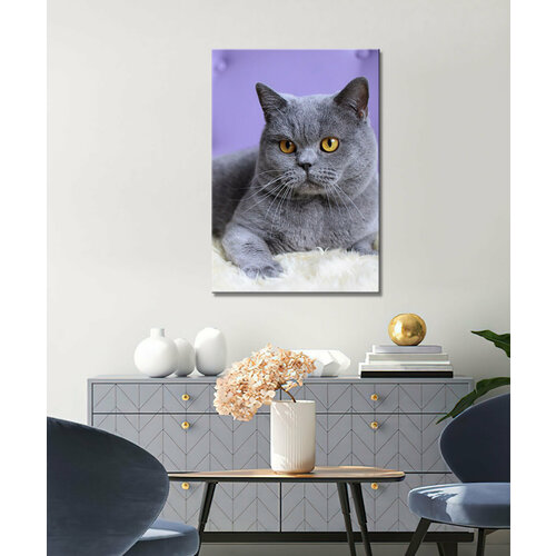 Картина для интерьера британская короткошёрстная домашняя ласковая кошка, кот (215) 20х30