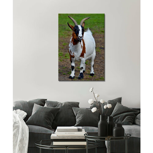Картина -Козлята, козленок, коза, козел (2) 20х30