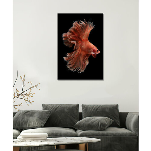 Картина - Тропические рыбы, рыба (27) 50х70