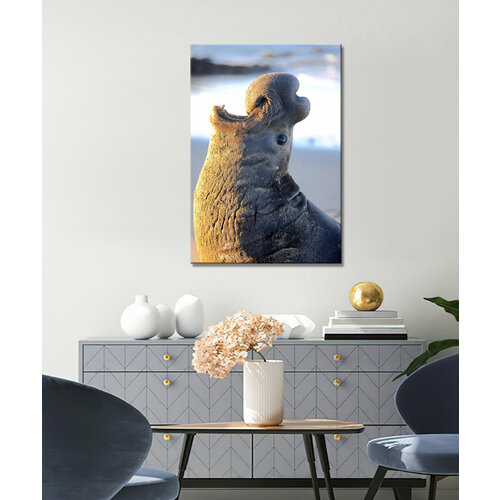 Картина - Морской слон (2) 60х80