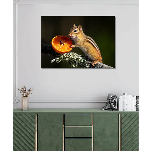 Картина - Бурундук, бурундучок, полосатый бурундук на ветке, маленький бурундук с апельсином (48) 50х70