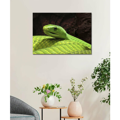 Картина - змея, большая змея, зелёная змея, змея в камнях, яркая змея (19) 20х30