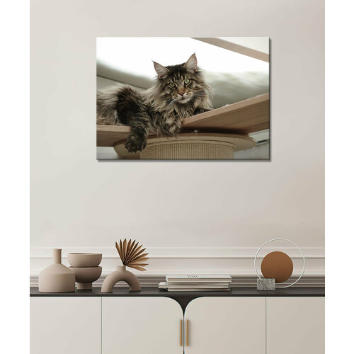 Картина - кошка, мейн-кун, домашняя кошка, ласковая кошка, кот (284) 40х60