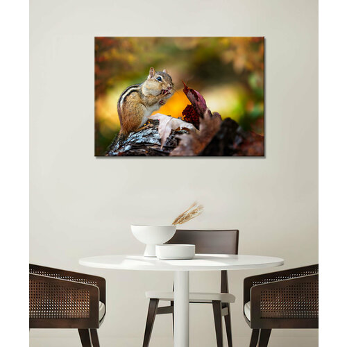 Картина - Бурундук, бурундучок, полосатый бурундук на дереве, забавный бурундук, лапки бурундука (36) 40х60