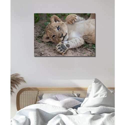 Картина - Львенок, лев хищник, маленький лев, лапки львенка, милый львенок (8) 30х40