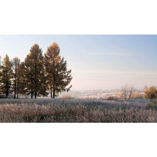 Картина на холсте 60x110 LinxOne "Зимнее поле утром" интерьерная для дома / на стену / на кухню / с подрамником