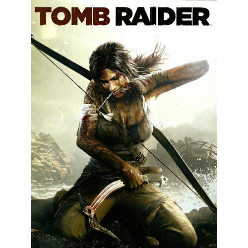 Плакат, постер на холсте Tomb Raider/игровые/игра/компьютерные герои персонажи. Размер 30 на 42 см