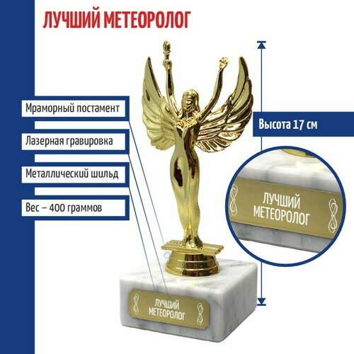 Подарки Статуэтка Ника "Лучший метеоролог" (17 см)