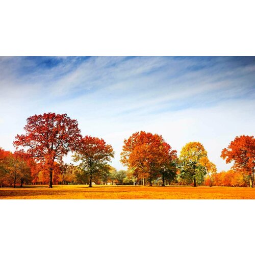 Картина на холсте 60x110 LinxOne "Осень деревья парк" интерьерная для дома / на стену / на кухню / с подрамником