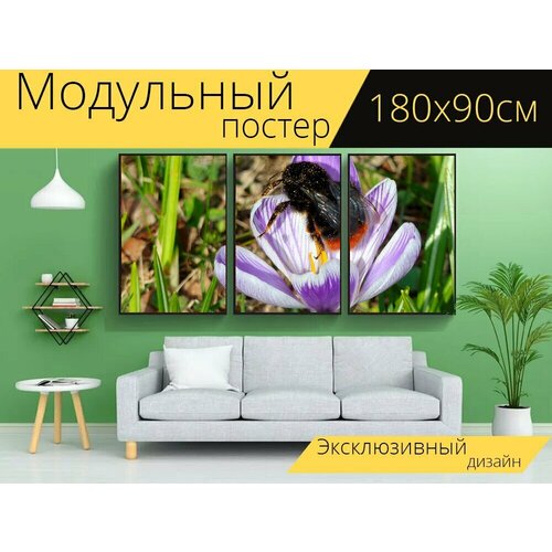 Модульный постер "Шмель, насекомое, насекомые" 180 x 90 см. для интерьера