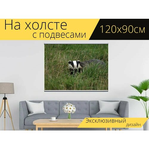 Картина на холсте "Барсук, животное, дикая природа" с подвесами 120х90 см. для интерьера