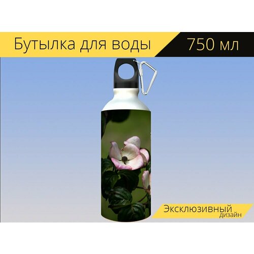 Бутылка фляга для воды "Кизил, цветы, листья" 750 мл. с карабином и принтом
