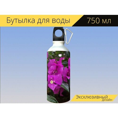 Бутылка фляга для воды "Бугенвиллия, колючие декоративные лианы, кусты" 750 мл. с карабином и принтом