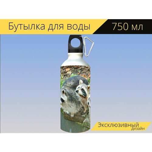 Бутылка фляга для воды "Еноты, млекопитающие, питьевой енотов" 750 мл. с карабином и принтом