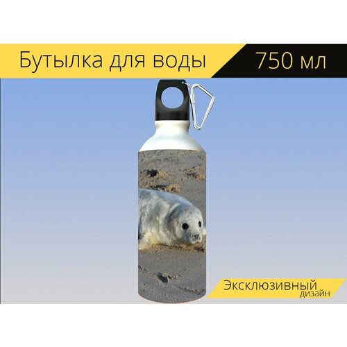 Бутылка фляга для воды "Тюлень, щенок, пляж" 750 мл. с карабином и принтом