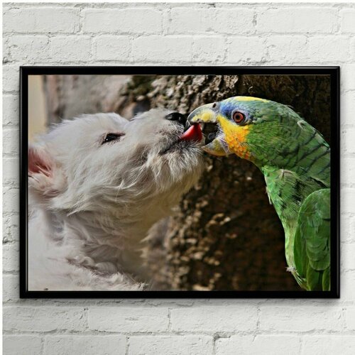 Постер "Белая собака и попугай" Cool Eshe из коллекции "Природа", плакат А3