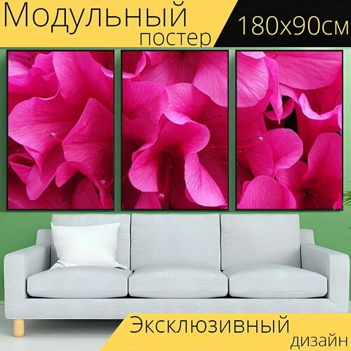 Модульный постер "Цветы, розовые цветы, розовые лепестки" 180 x 90 см. для интерьера