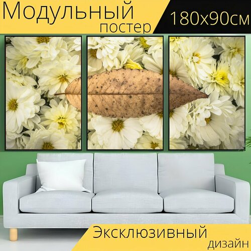 Модульный постер "Хризантема, осень, цветок" 180 x 90 см. для интерьера