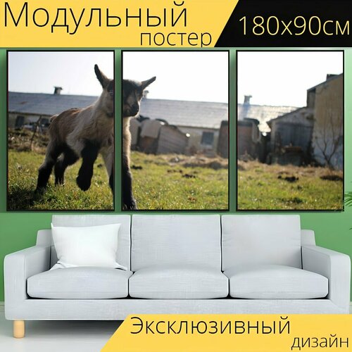 Модульный постер "Козел, козы, весеннее животное" 180 x 90 см. для интерьера