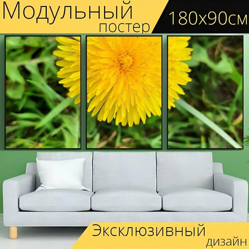Модульный постер "Цветок, трава, сорняки" 180 x 90 см. для интерьера