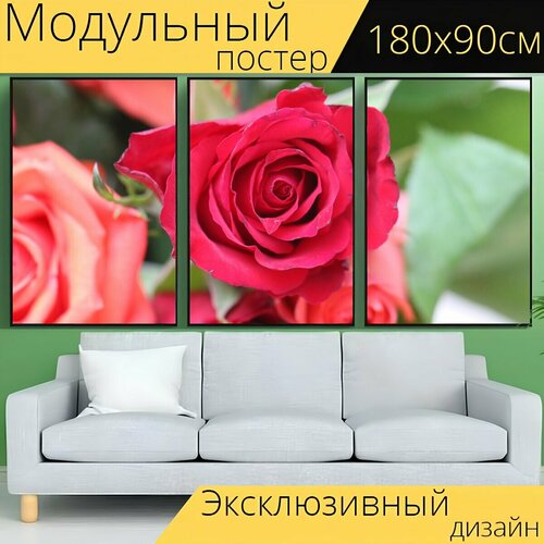 Модульный постер "Розы, цветы, розовый" 180 x 90 см. для интерьера