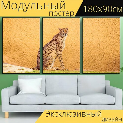 Модульный постер "Природа, кошка, животное" 180 x 90 см. для интерьера