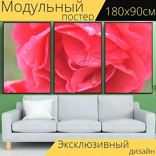 Модульный постер "Розовый, красный, цветок" 180 x 90 см. для интерьера